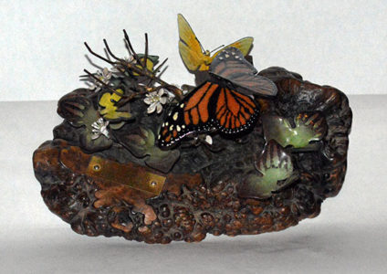 Trophy History – Butterfly – TLYCC